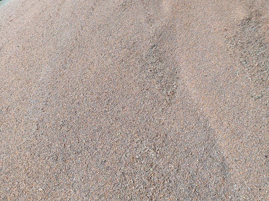 Отходы чечевицы отходы пшеницы отходы ячменя