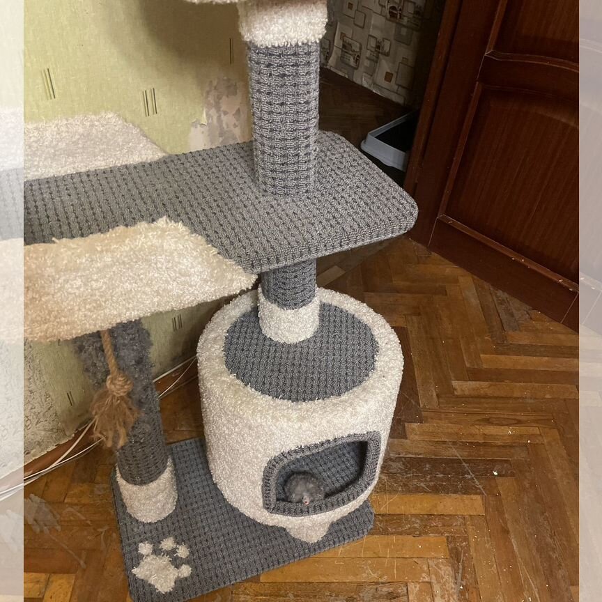 Когтеточка