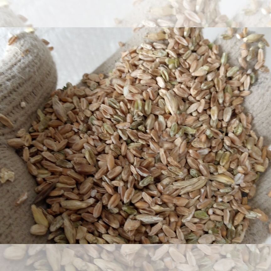 Пшеничные отходы