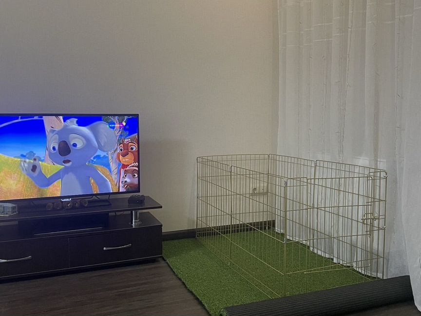 Вольер для собак в квартиру