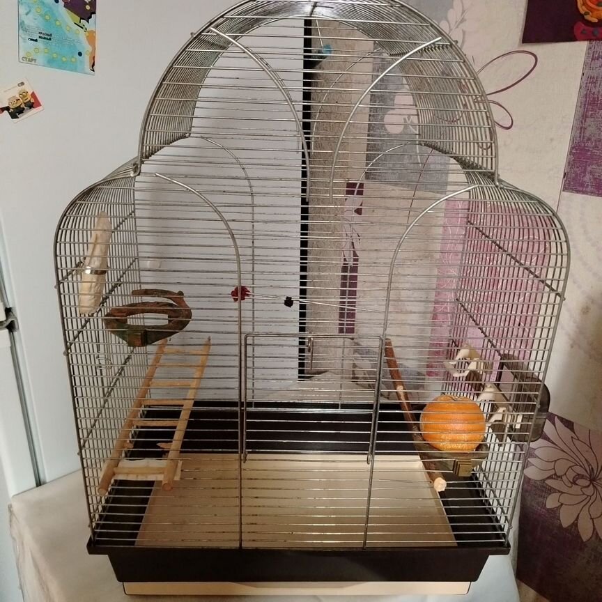 Клетка для средних птиц