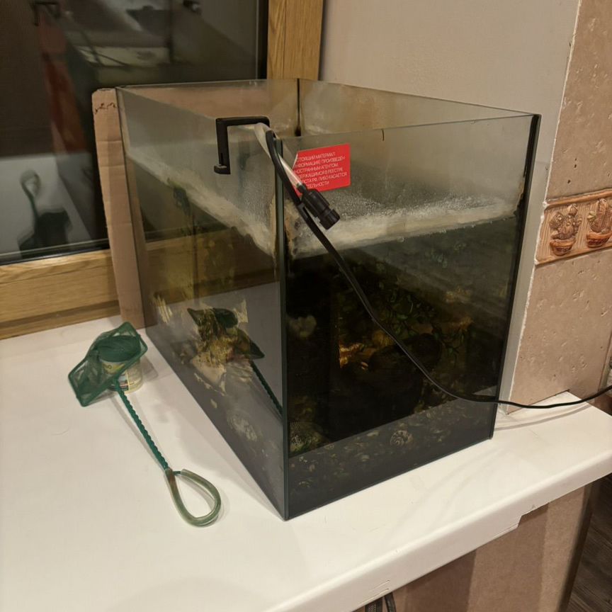 Аквариум с рыбками бесплатно