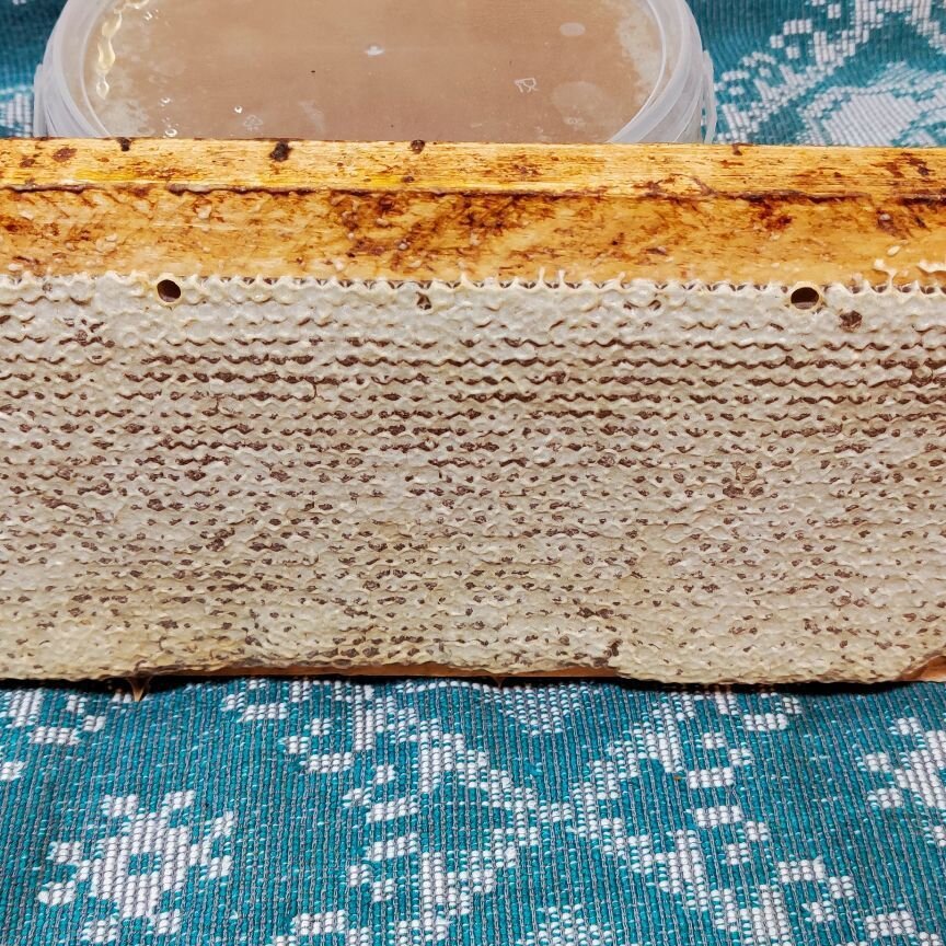 Рамка мёда (мёд в сотах)