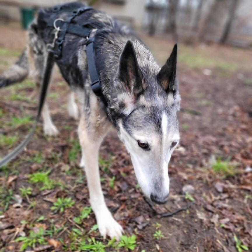 Все ещё надеемся и верим