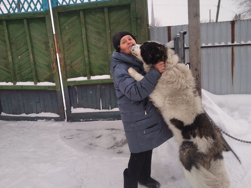 Московская сторожевая