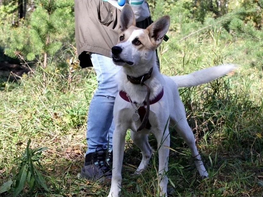 Джон в добрые руки