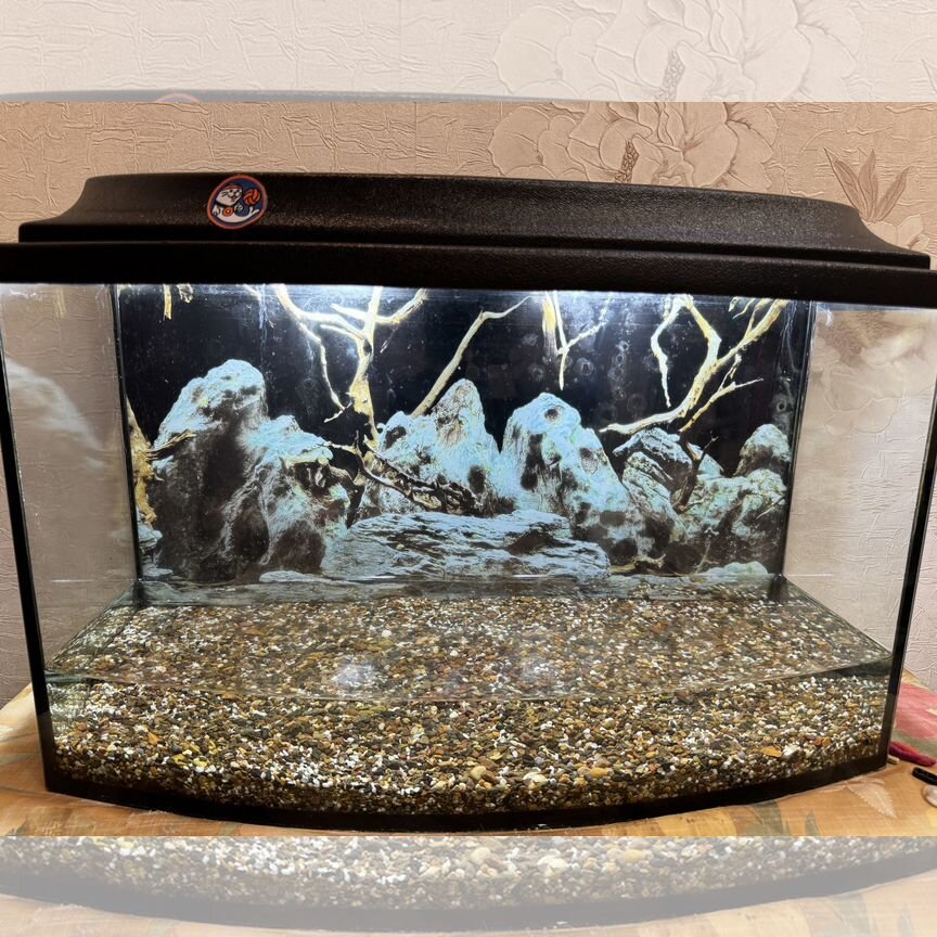 Аквариум телевизор на 45 литров