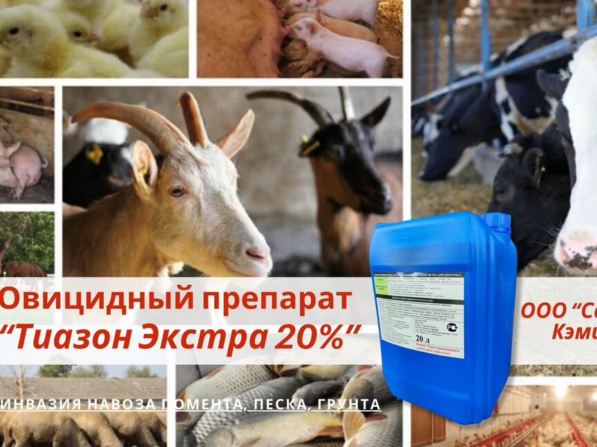 Дезинвазия навоза, помета "Тиазон 20" гельминты