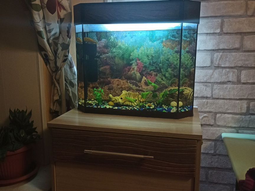 Аквариум 60л