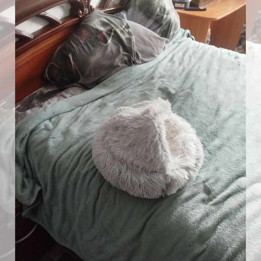 Домик для котят