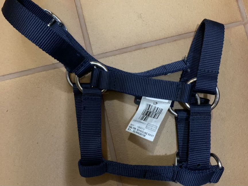 Недоуздок для лошади