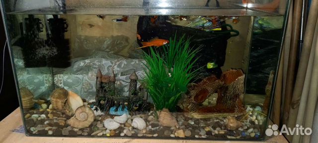 Аквариум на 60 л и много разных рыбки