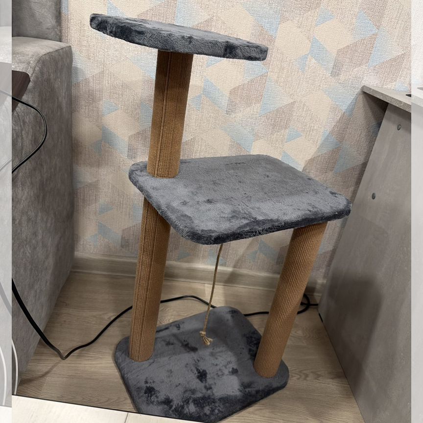 Когтеточка