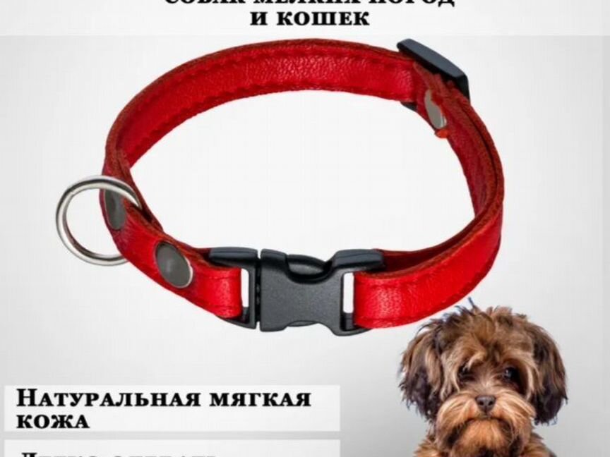 Ошейник Шлейка для собак мелких и средних пород