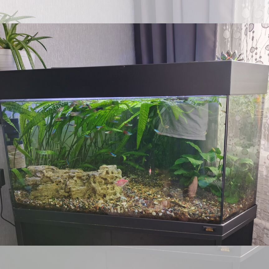 Аквариум с тумбой 150 литров