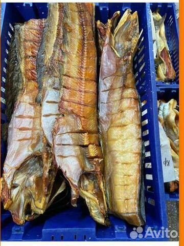 Живая рыба сом