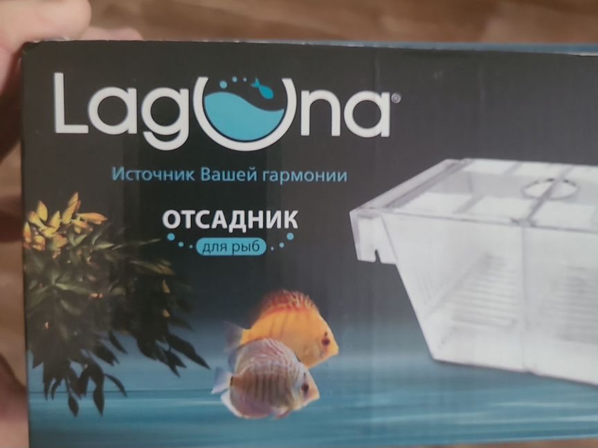 Отсадник для рыбок