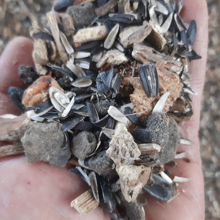 Продам отход подсолнечника