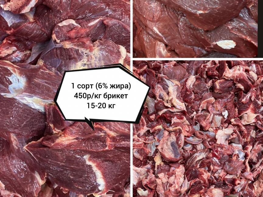 Блочная говядина 2с/1с/вс