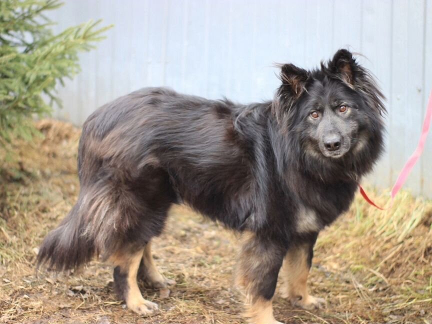 Соня в шикарной шубке