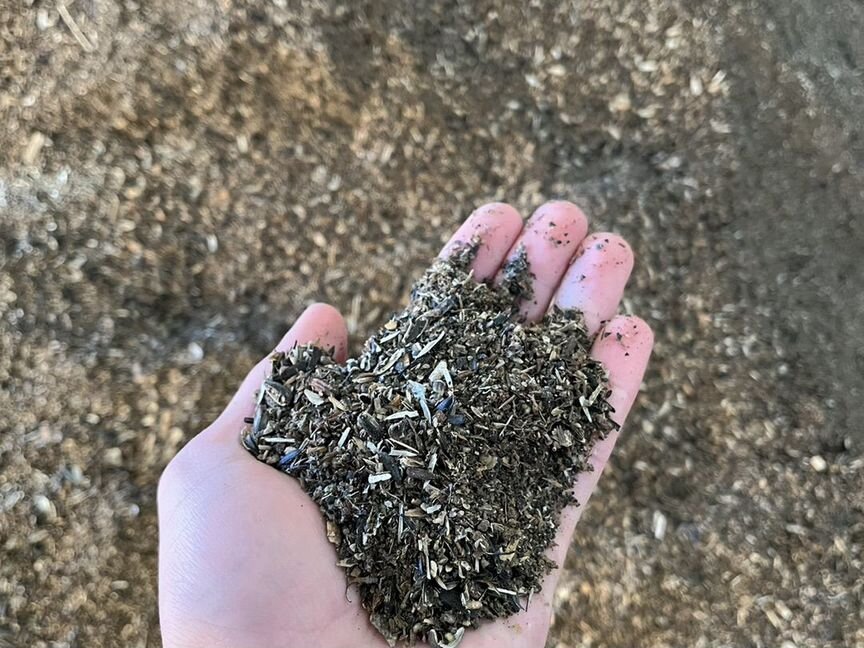 Отход семички