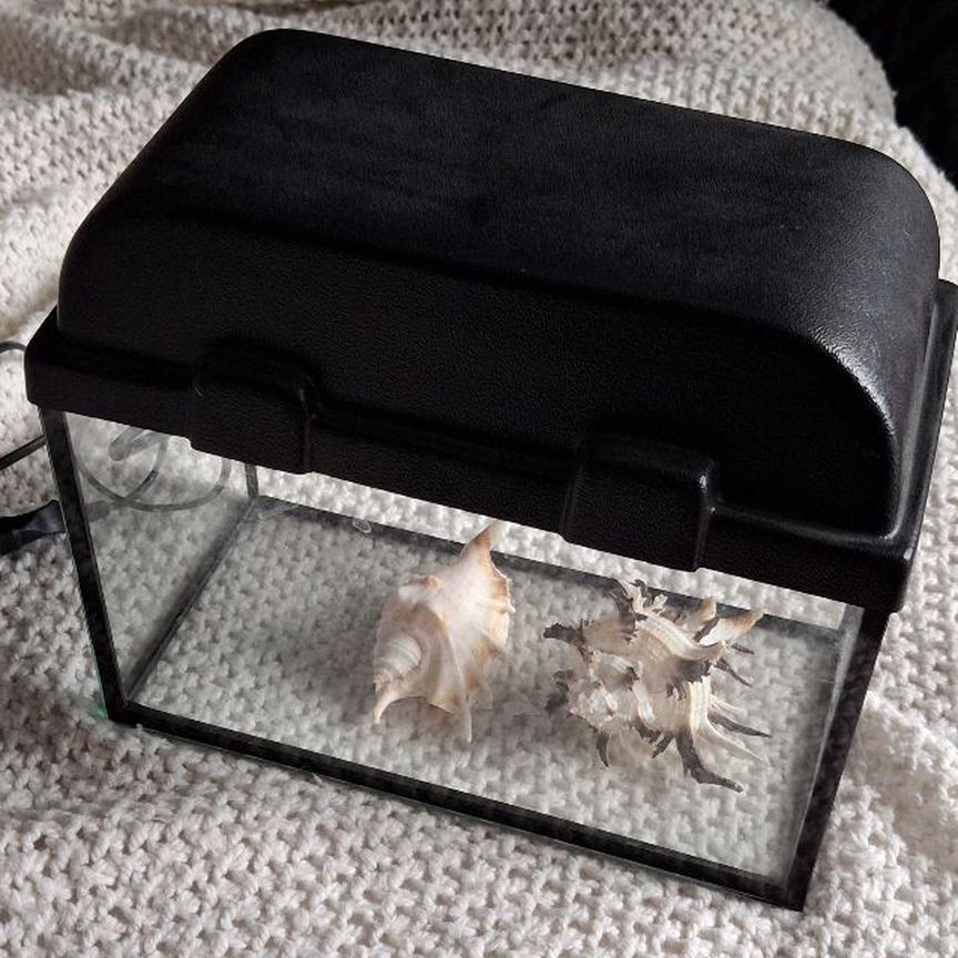 Аквариум для маленьких рыбок или петушка