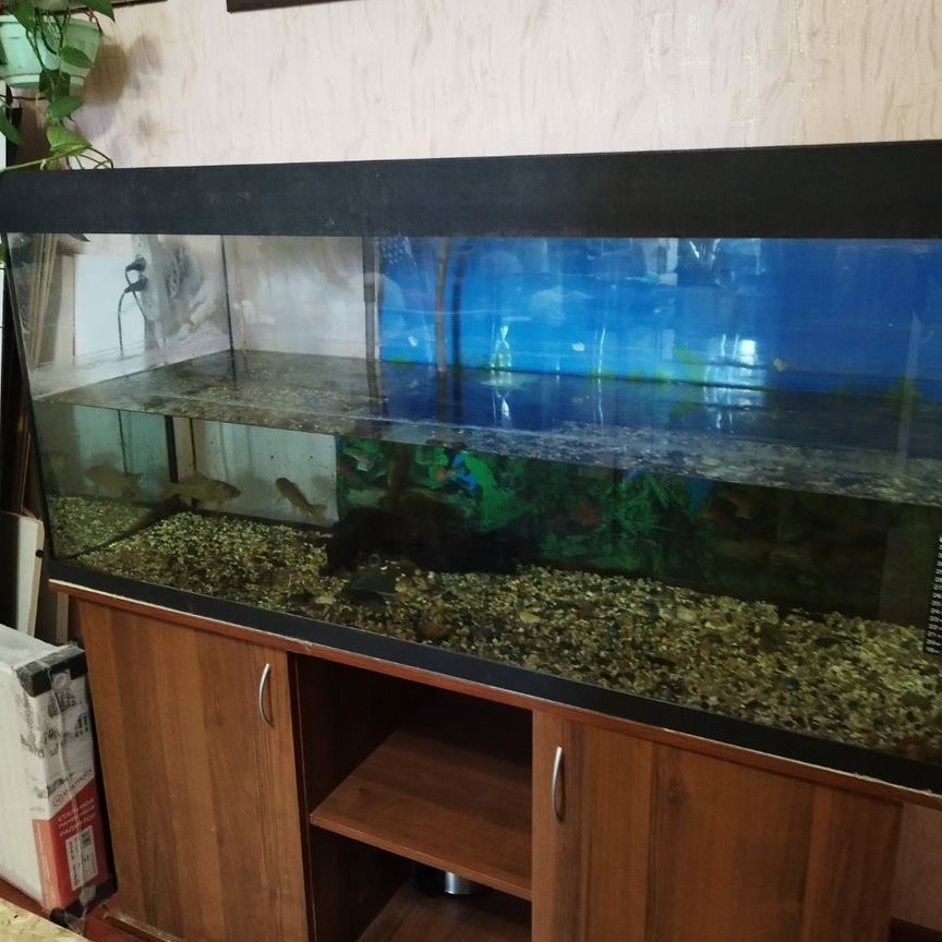 Аквариум с тумбой 400 литров