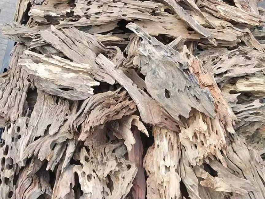 Deco nature wood dragon - Натуральная коряга драк