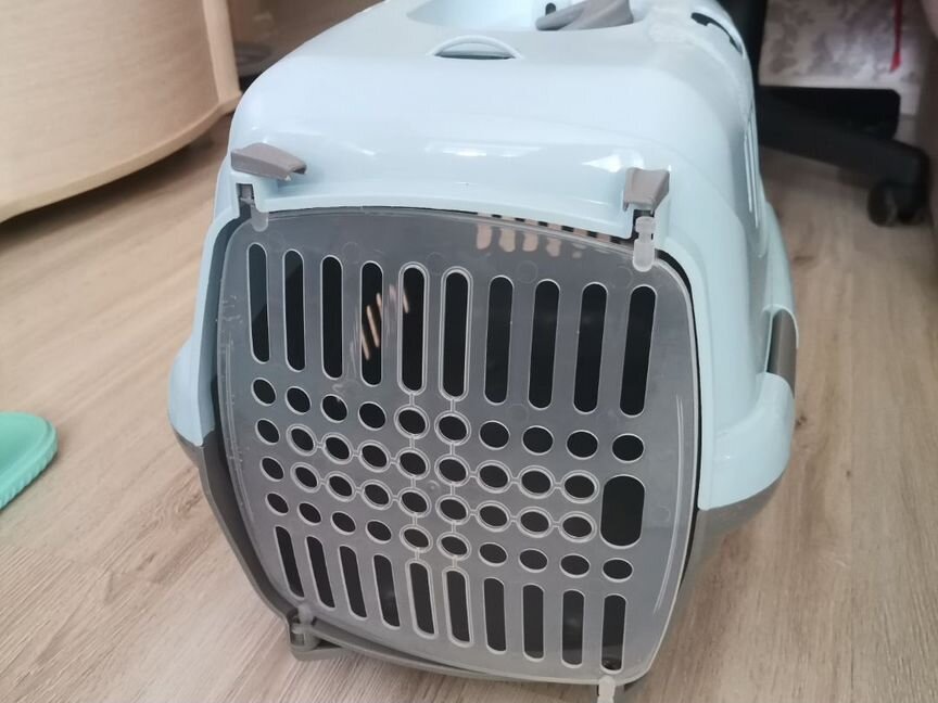 Аренда переноски для кошек
