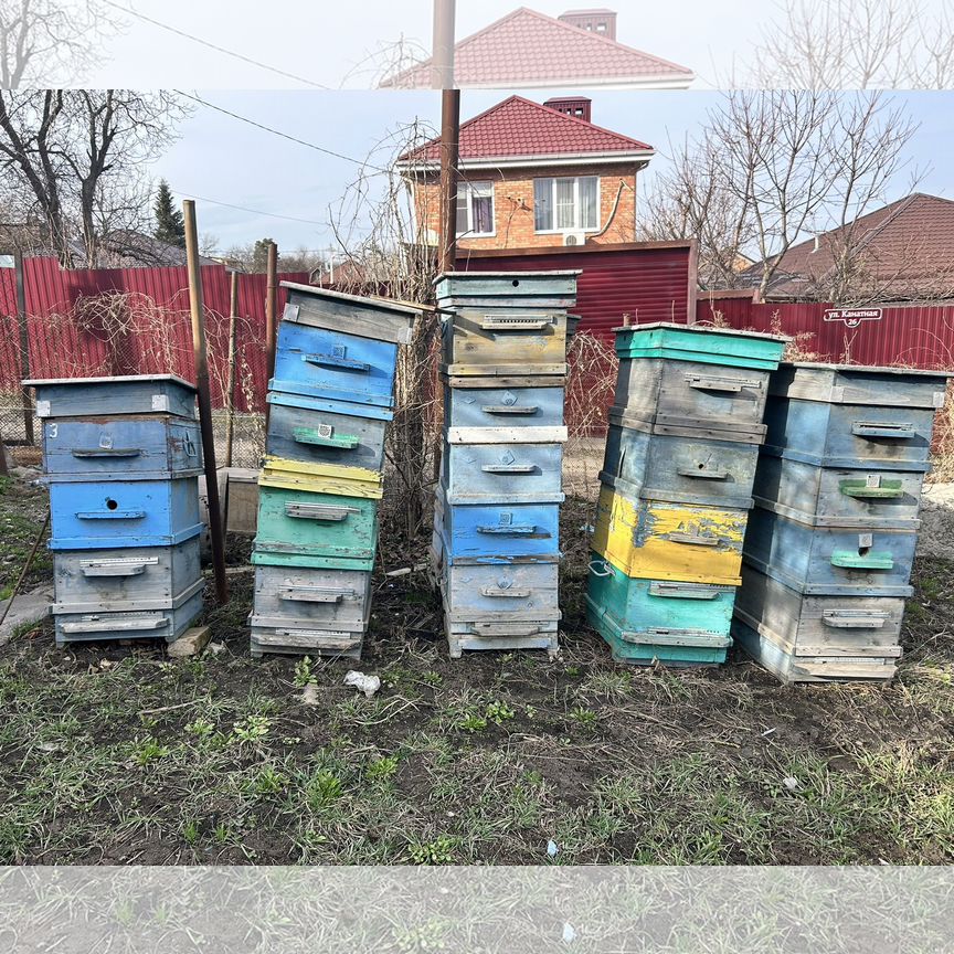 Улики для пчел