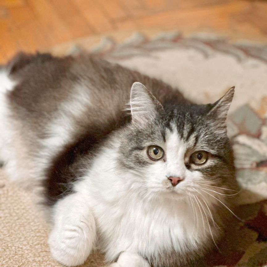 Остался совсем один