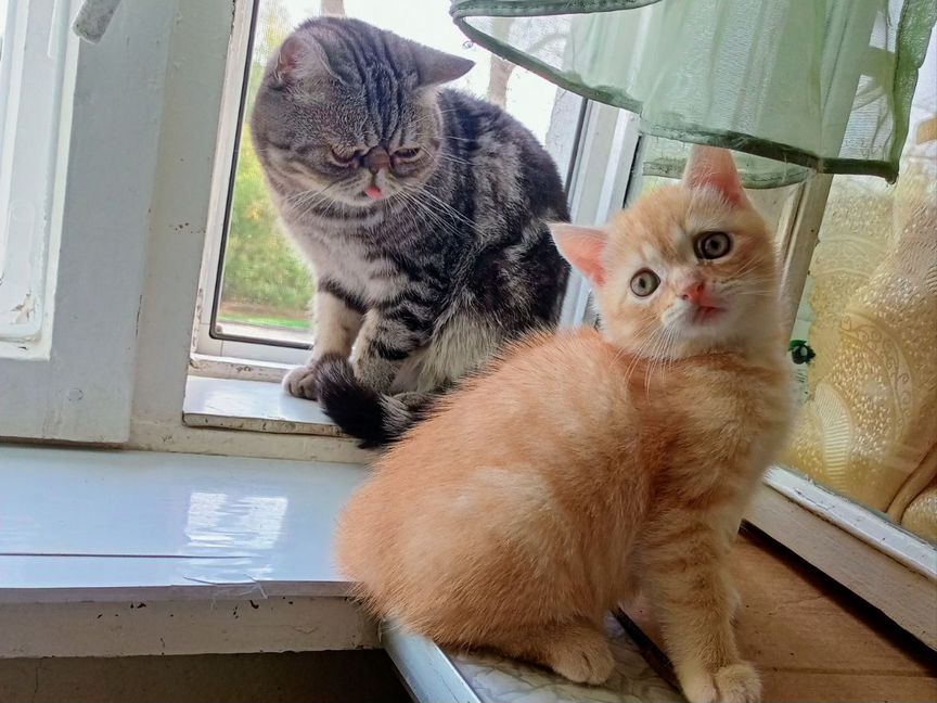 Как хорошо нам с папочкой