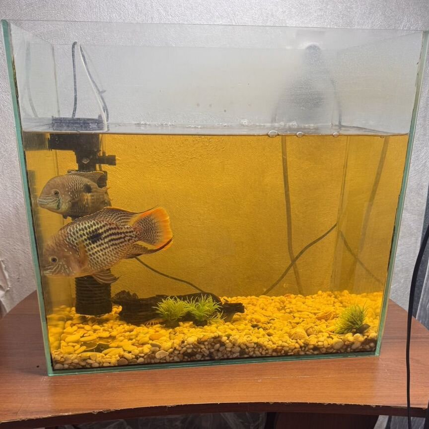 Аквариум с тумбой