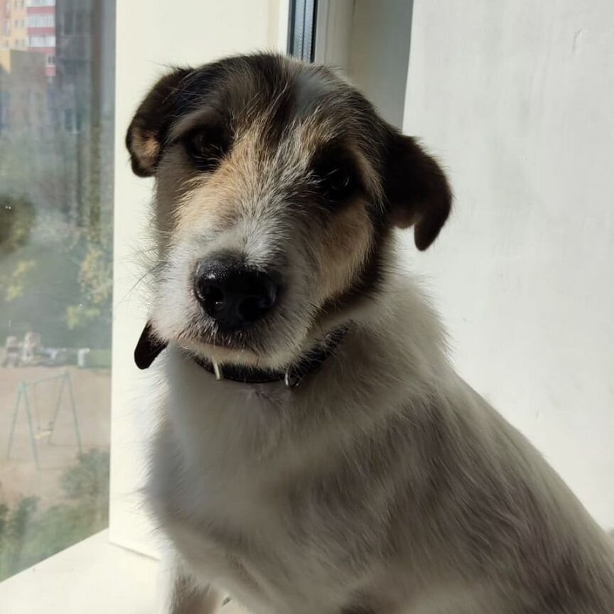 Возьми меня домой