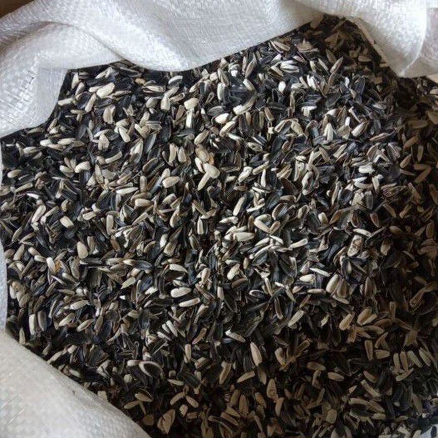 Лузга подсолнечника