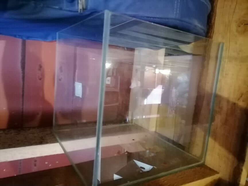 Аквариум
