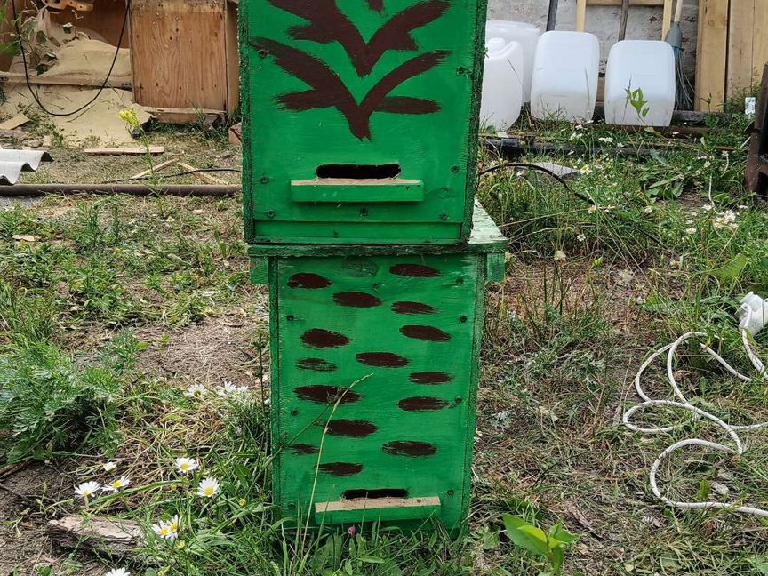 Ловушка для роев, пчел