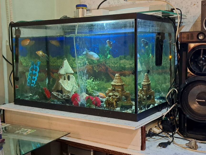 Аквариум
