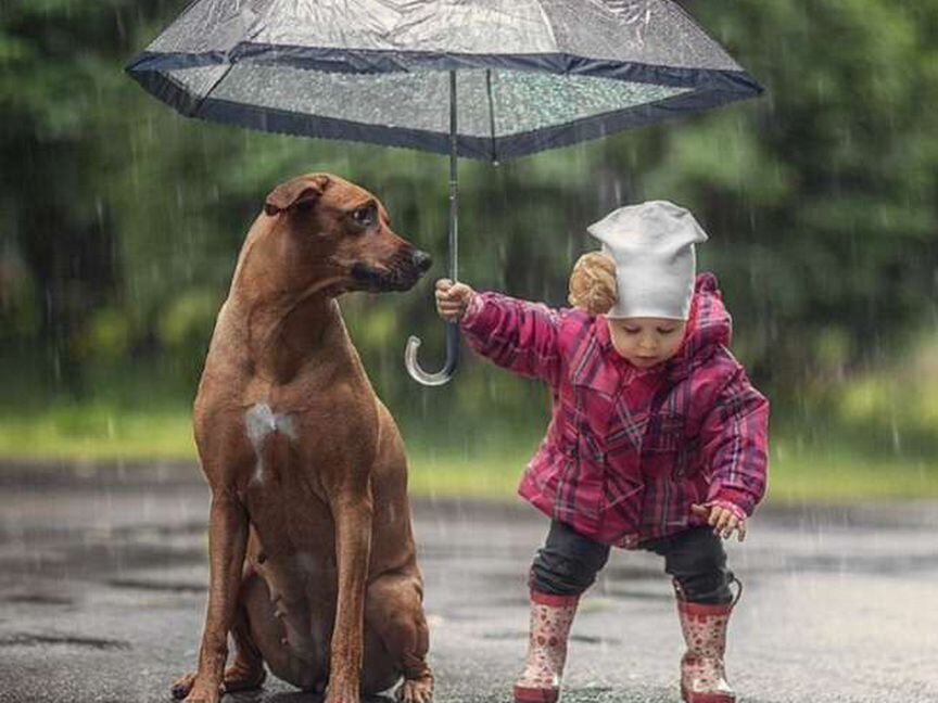 Стерилизация для одиноких