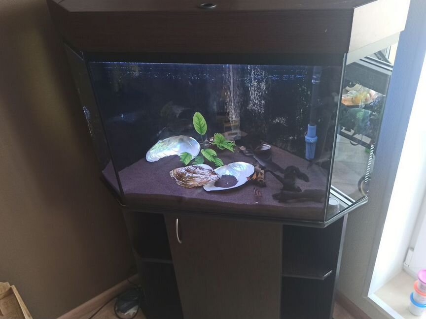 Аквариум угловой 120 л с тумбой и всем необходимым