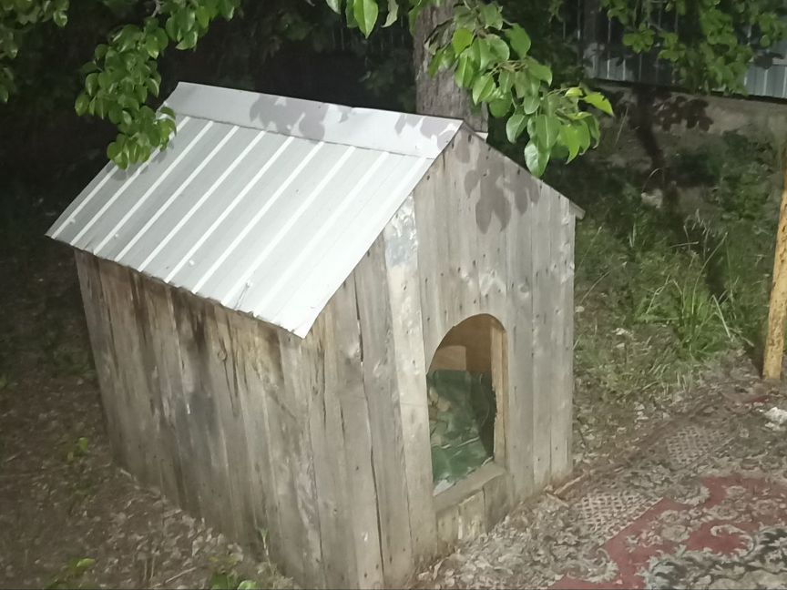 Собачья будка