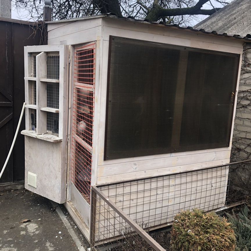 Голубятник