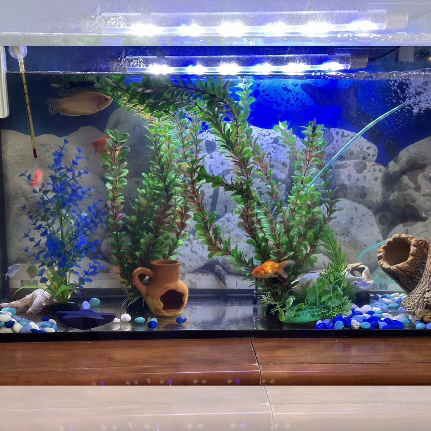 Аквариум с тумбой бу