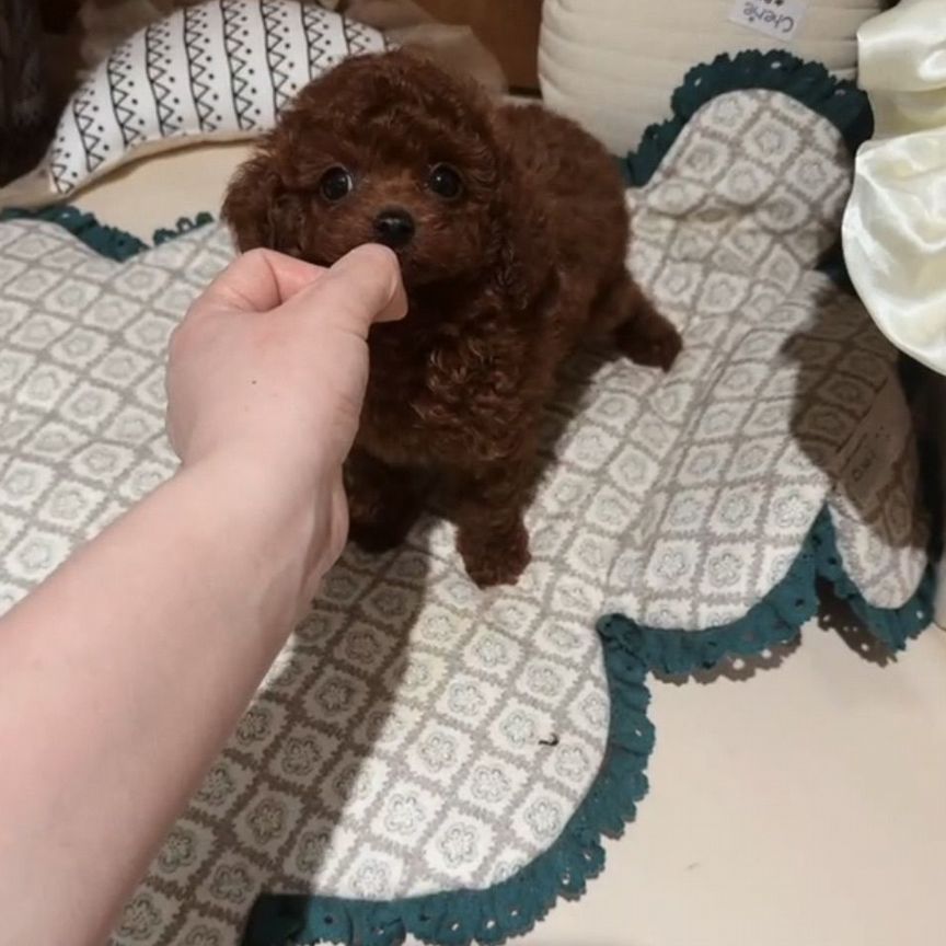 Мальчик Китай большие глаза