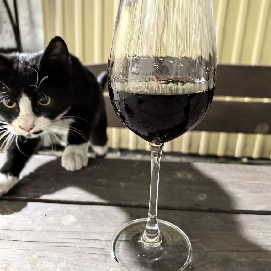 Котенок 3 месяца