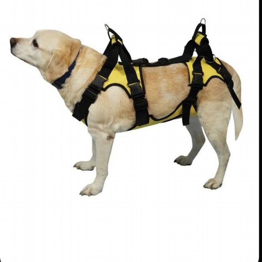 Полная поддержка для собак (ходунки)