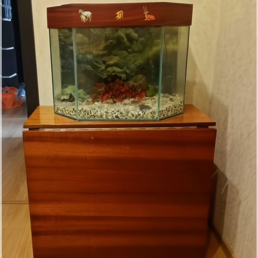 Аквариум