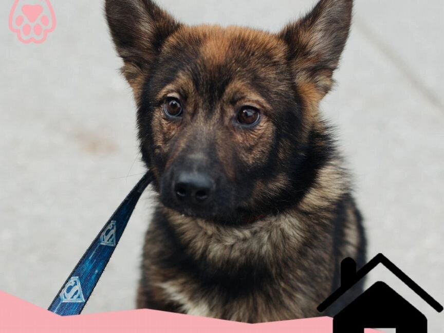 Маленькая Прима