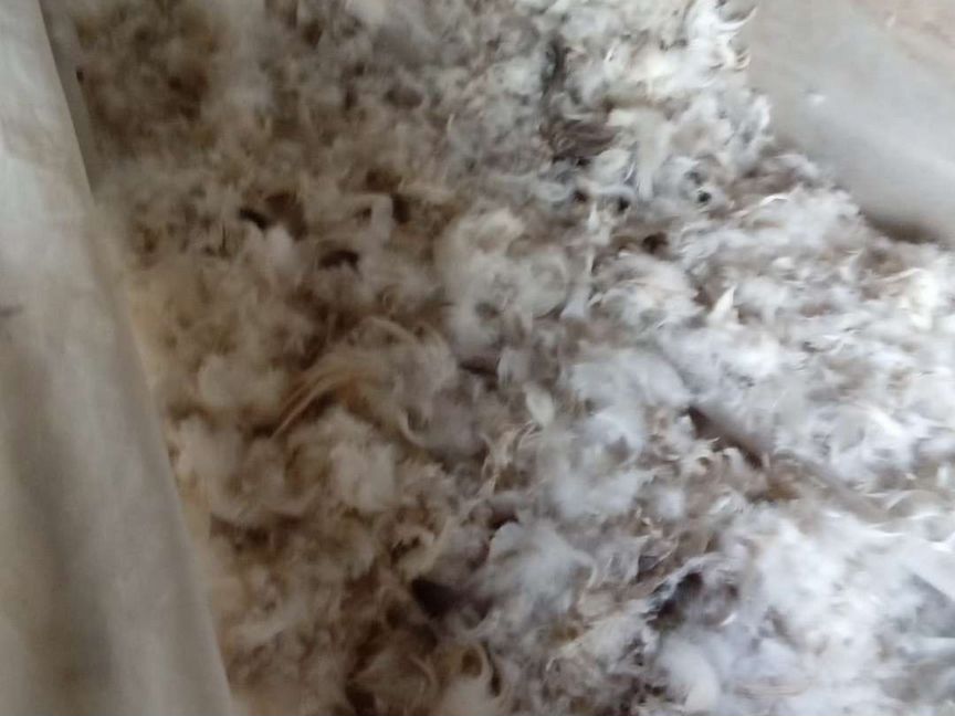 Пух гусиный