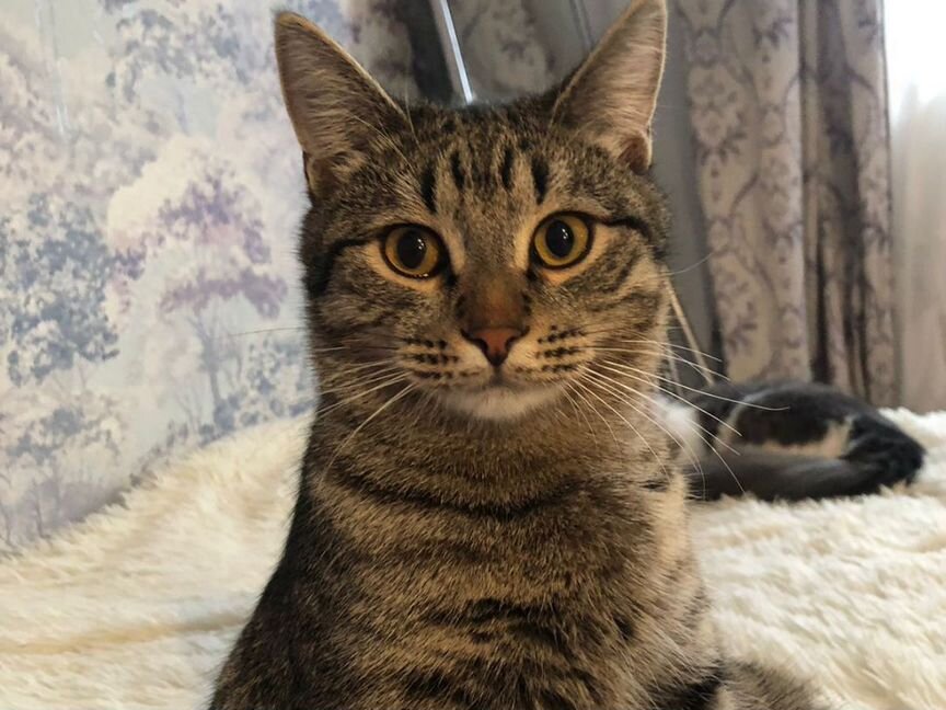 Митюша ласковый,весёлый мальчик - 7 месяцев